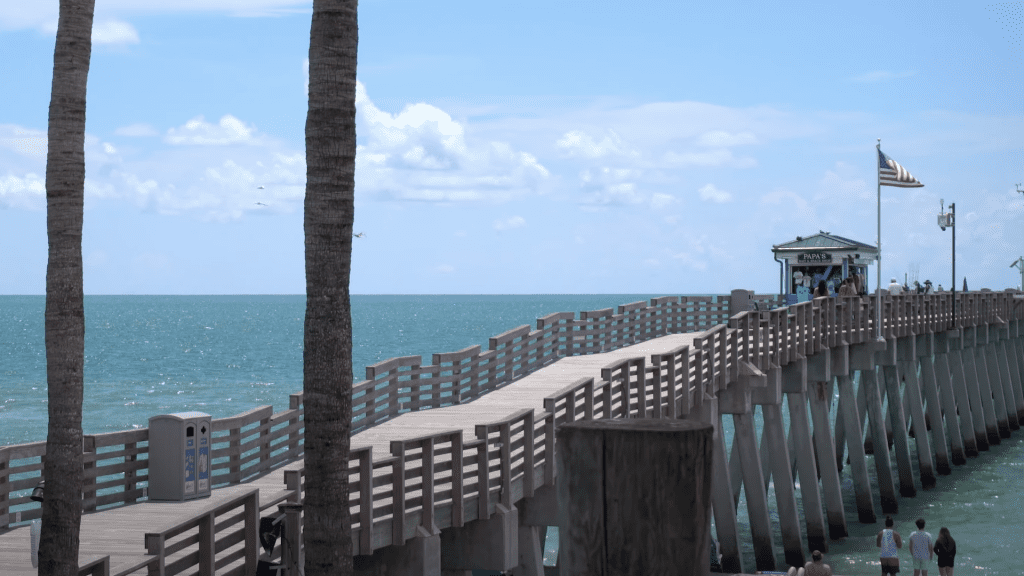 Venice Florida Guide
