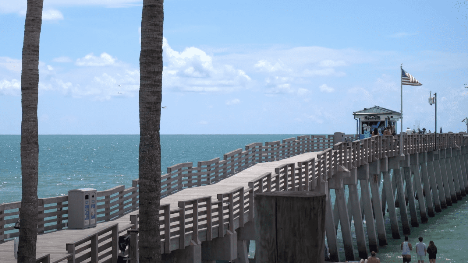 Venice Florida Guide